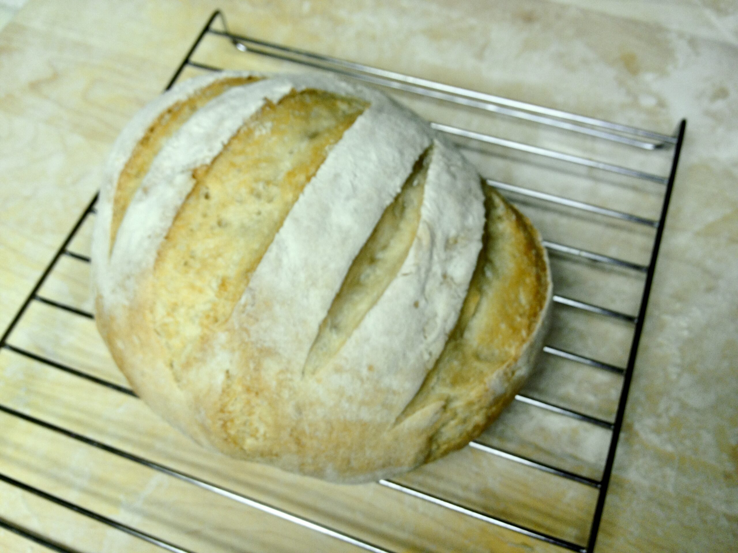 Jeff and Zoe's Master Boule Dough Recipe ⋆ Nutrivore Life